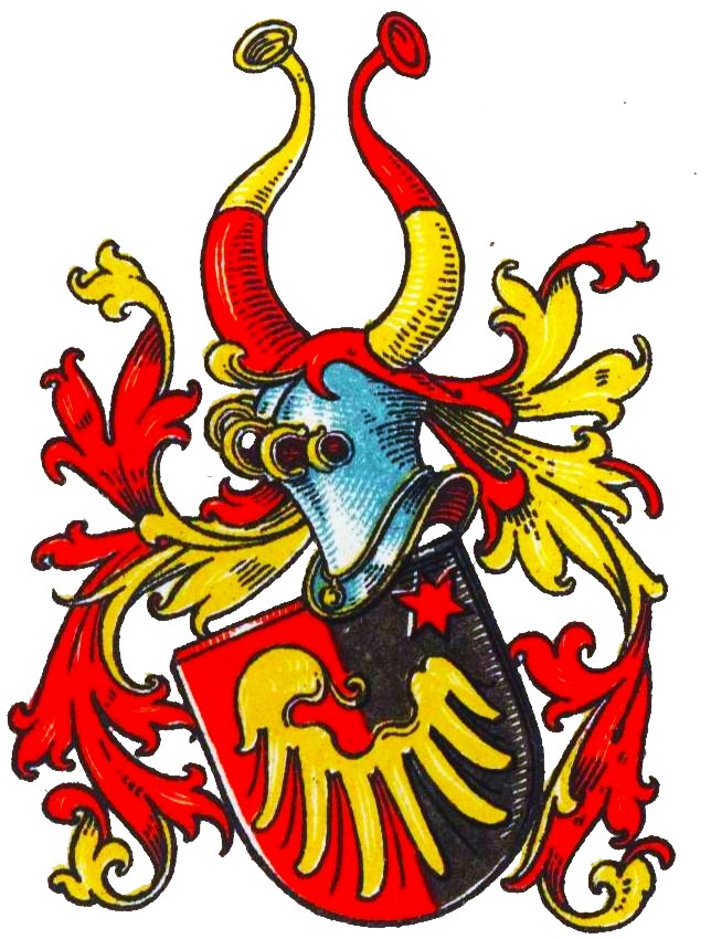 Wappen, Siegel, Münzen: Wappen derer von Honfels (Hohenfels): Reise in ...